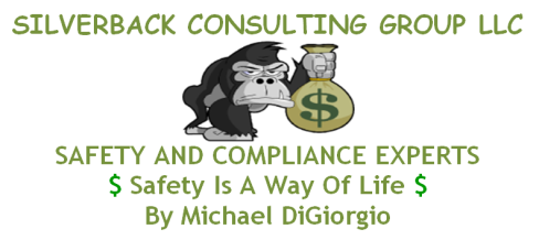 Read the Curriculum Vitae of Michael DiGiorgio